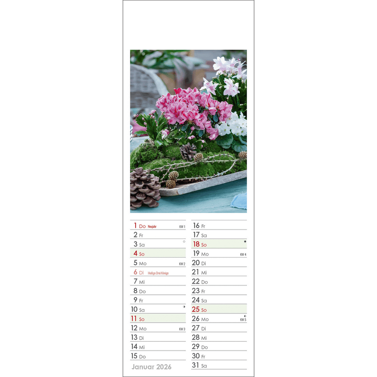 Sale Kalender - günstige Kalender 2026 – kalendersale.de