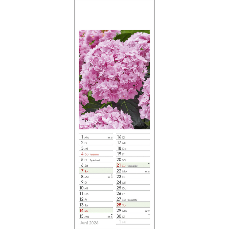 Sale Kalender - günstige Kalender 2026 – kalendersale.de
