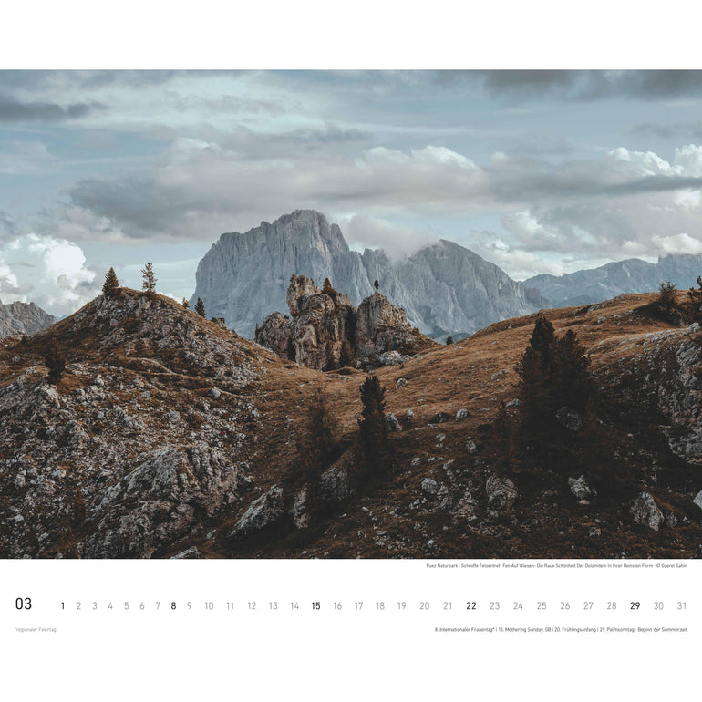 Buy teNeues Calendar 2026 – Vinyl Covers, Family Planner & more ...