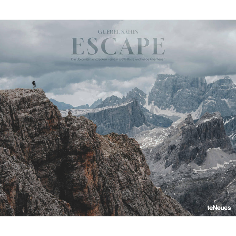 Buy teNeues Calendar 2026 – Vinyl Covers, Family Planner & more ...